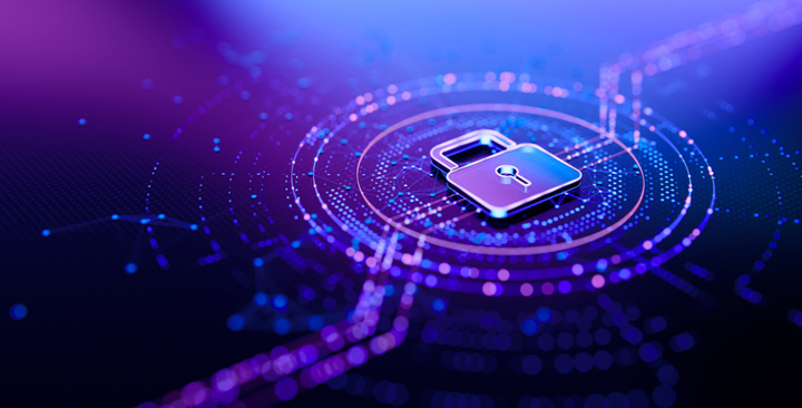 Emerging cyber security and information assurance threats and risks for ...